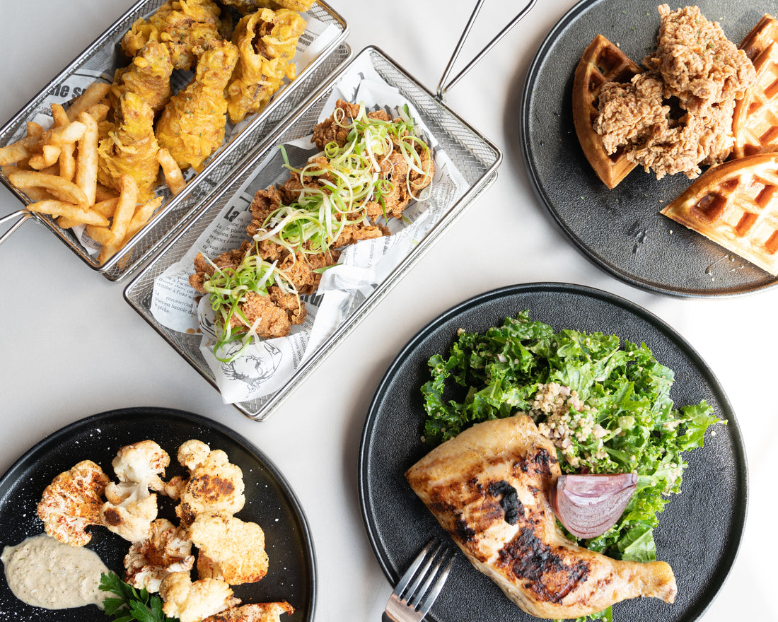 Bytes + IRL Dragon Shop